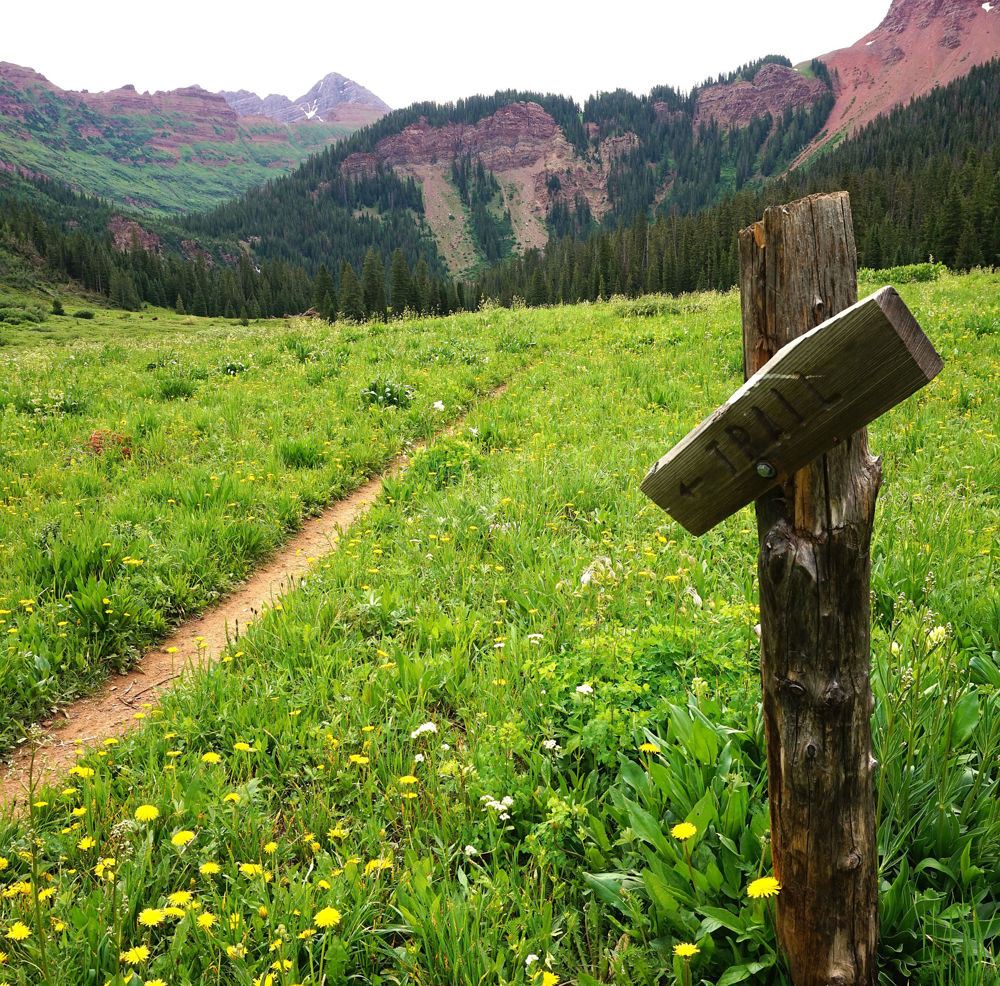 Trailtopia | Trail Restoration: Why it matters and how to get involved